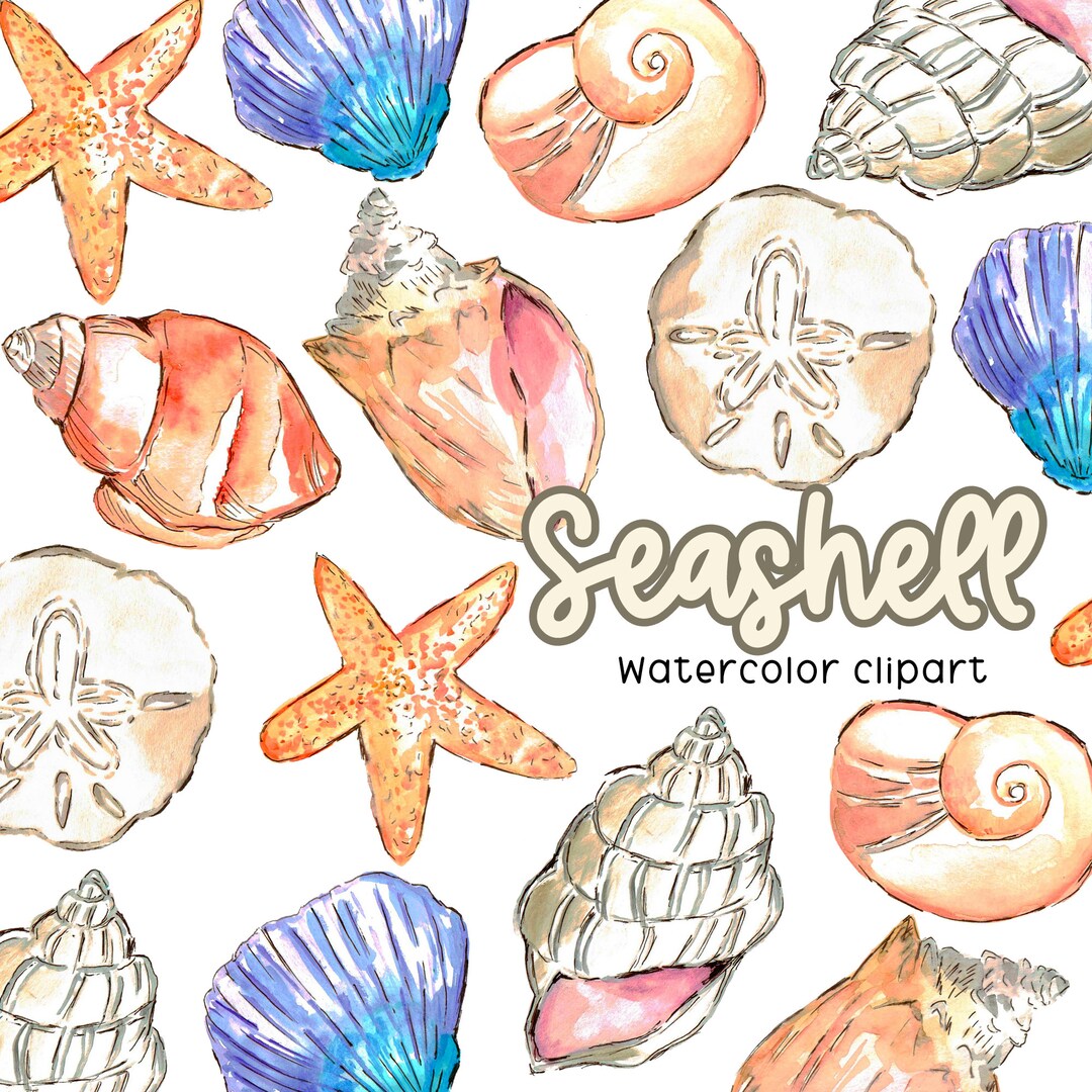 Watercolor Seashell Clipart, Summer, Beach, Sand Dollar, Conch Shell ...