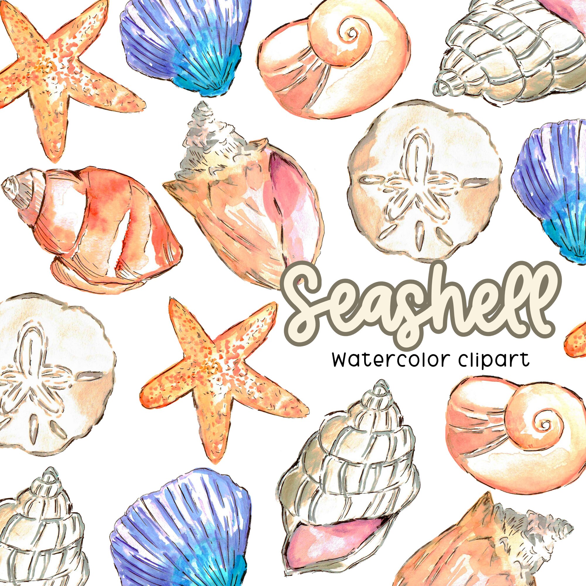 Seashells In Sand Clipart