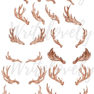 Watercolor Deer Antler Clipart, Hunting, Forest, Animal Graphics ...