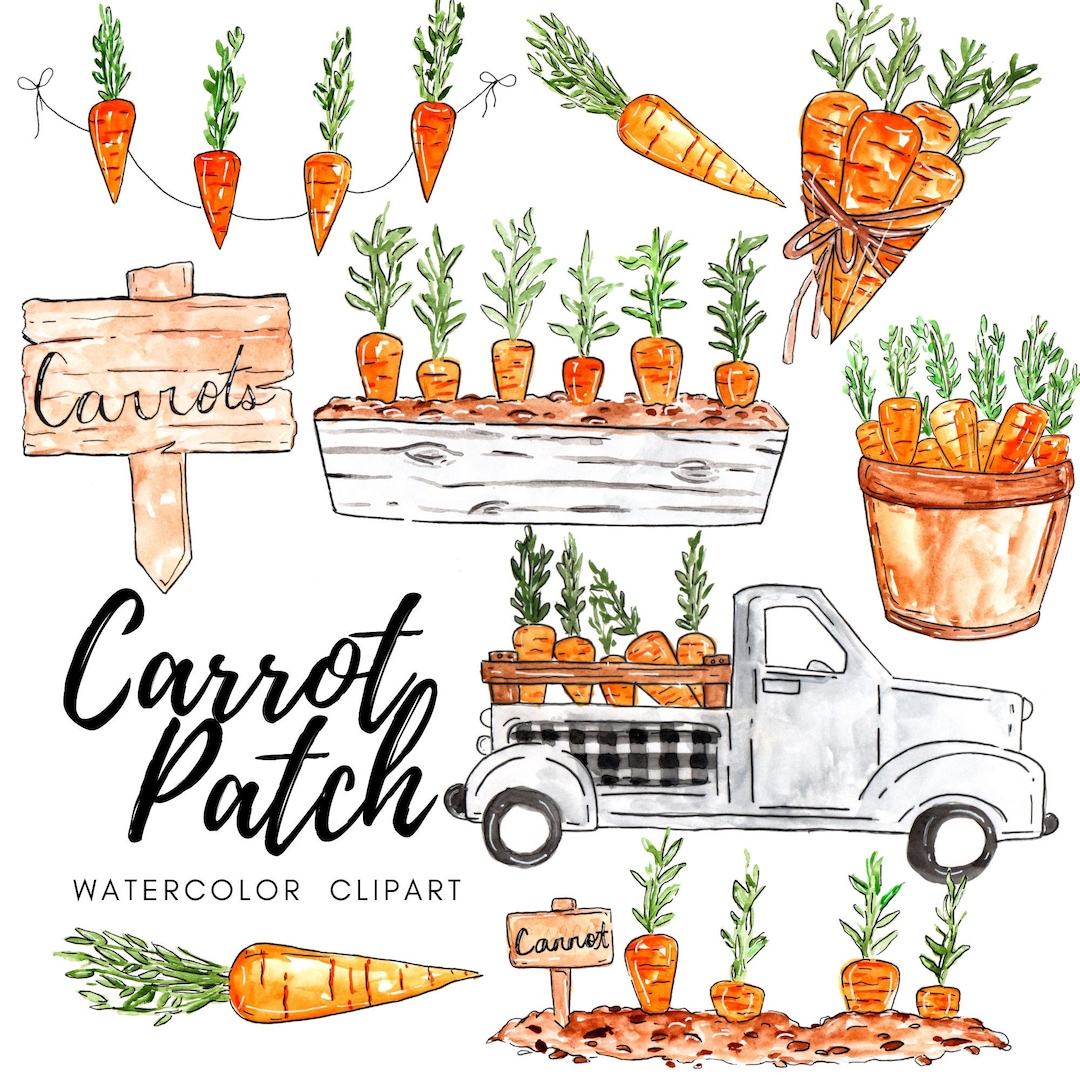 Watercolor Easter Carrot Patch Clipart Spring Garden Carrot - Etsy