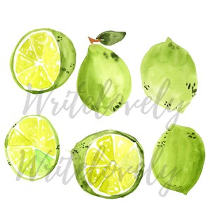 Fruit Watercolor Clipart - Lime Citrus Lemon Digital Sticker Commercial ...