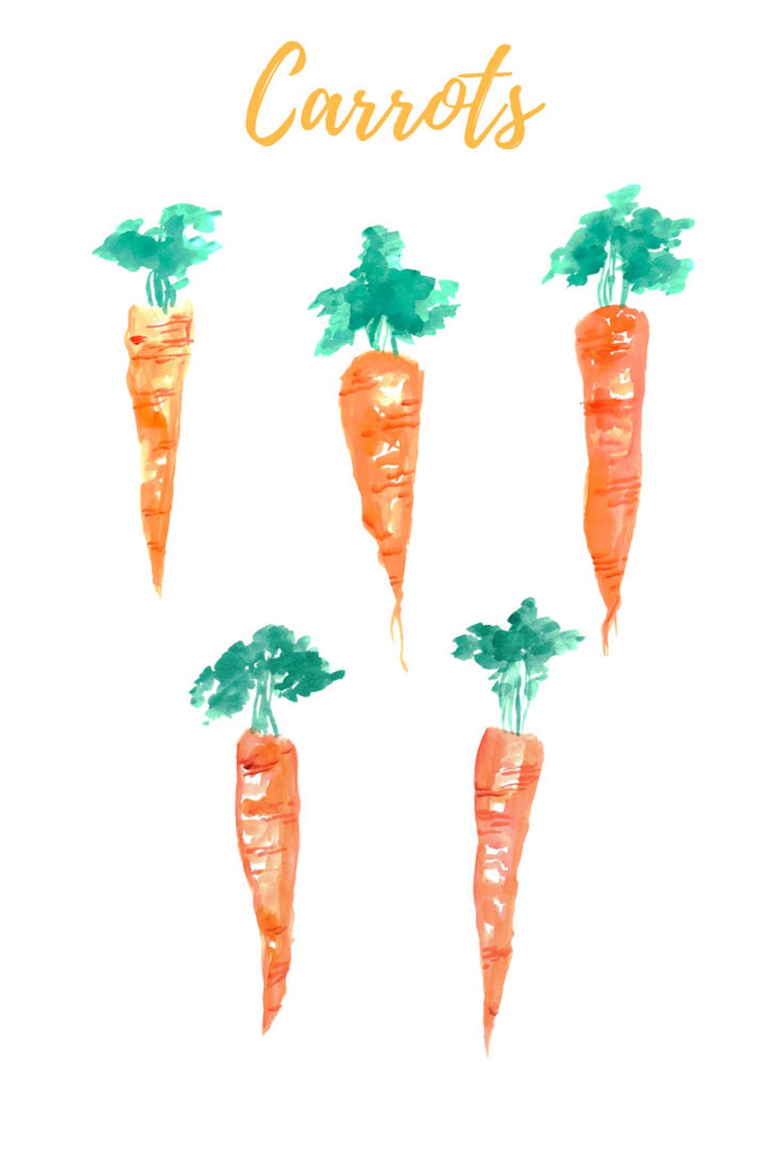 Easter clipart watercolor vegetable carrot graphics | Etsy