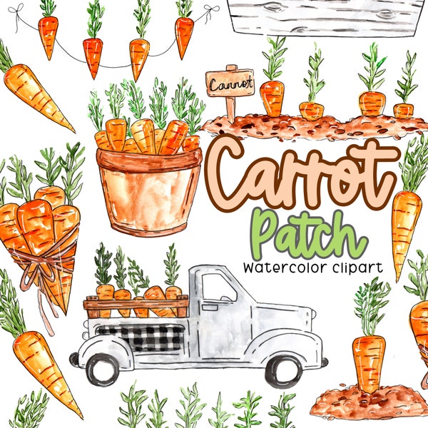 Watercolor Carrots - Etsy