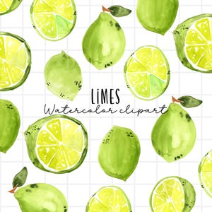 Fruit Watercolor Clipart - Lime Citrus Lemon Digital Sticker Commercial ...