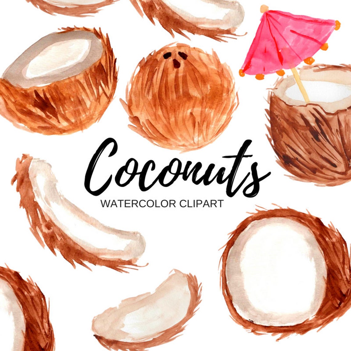 Coconut Clipart Tropical Clipart Food Clipart Watercolor - Etsy