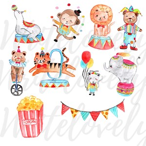 Cute Watercolor Circus Animal Clipart, Carnival Png Commercial Use ...