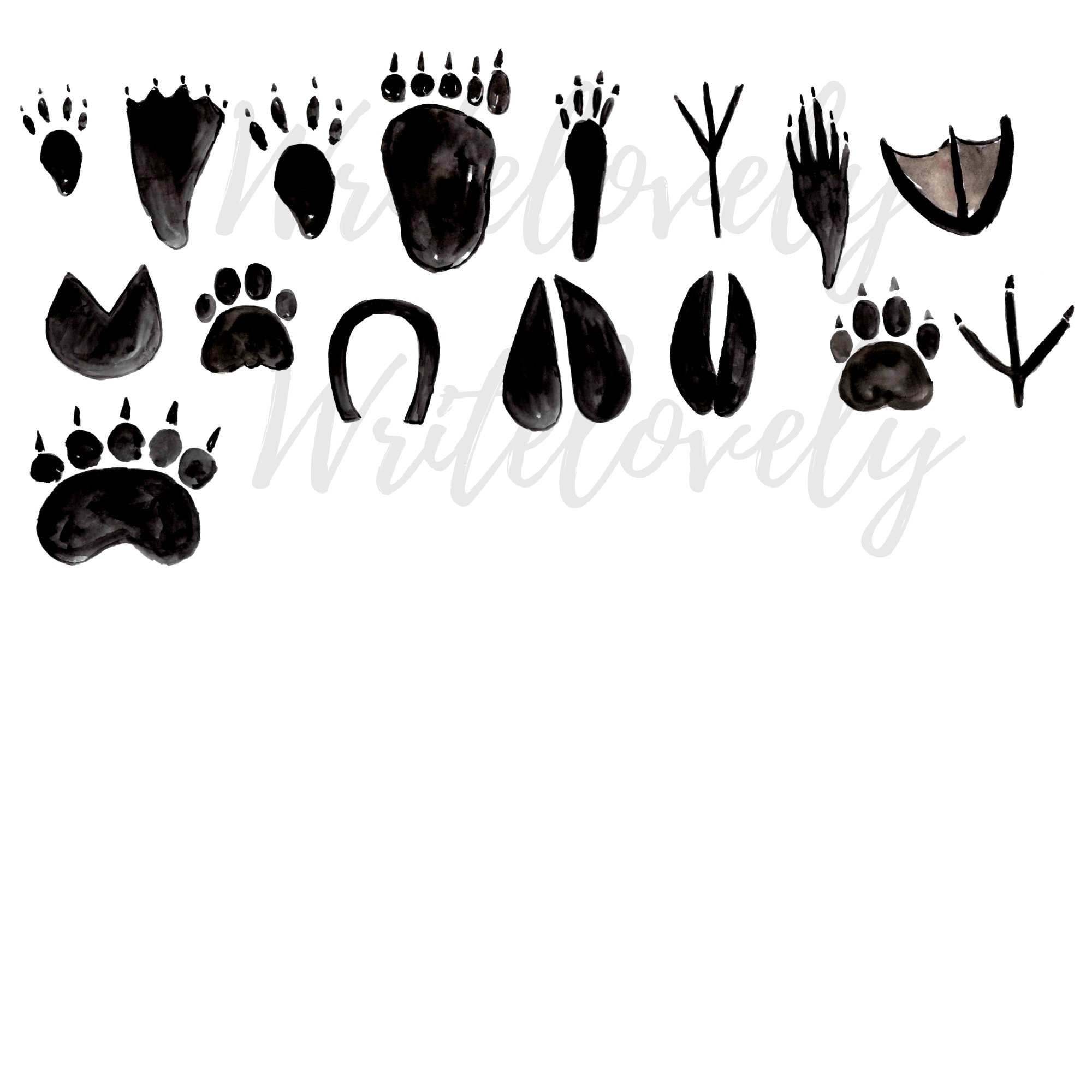 Animal Track Animal Print Clip Art Watercolor Clip Art - Etsy