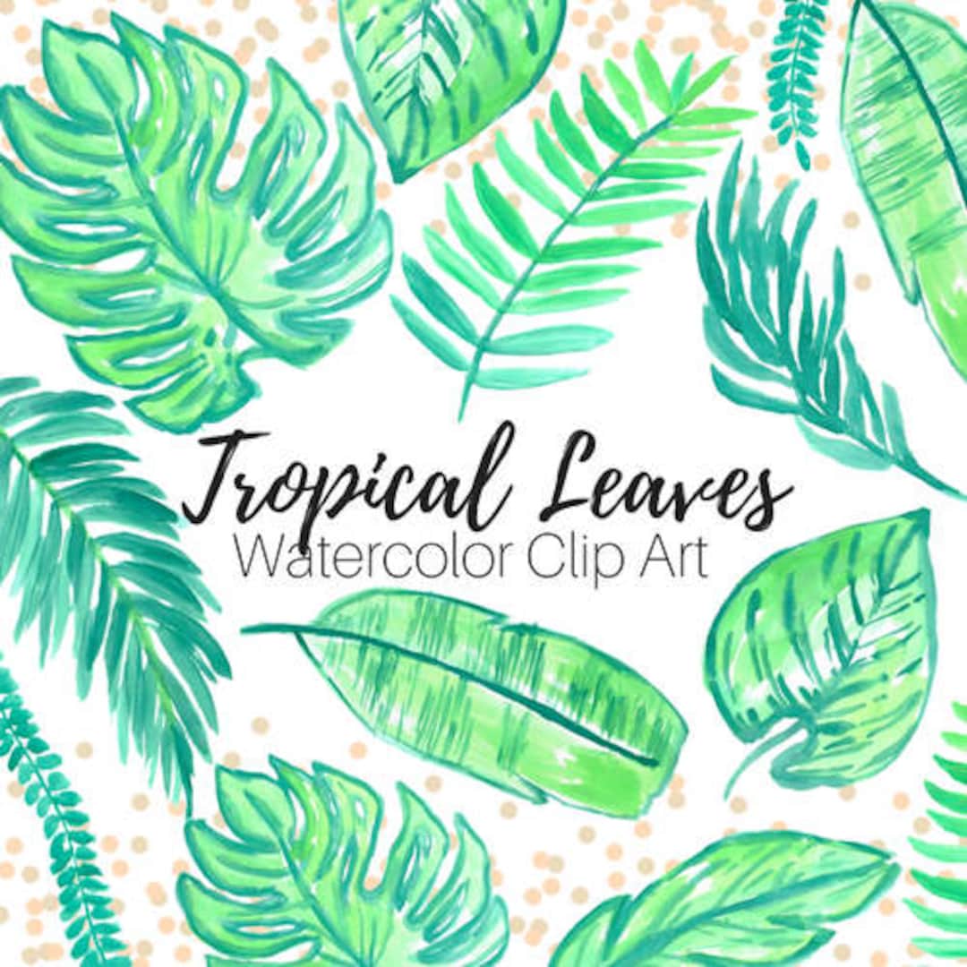 Tropical Leaves Clip Art Tropical Clip Art Island Clip Art - Etsy
