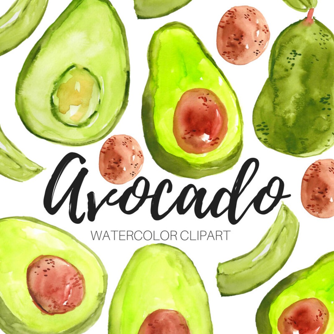 Avocado Clip Art Watercolor Clipart Food Cliipart Digital Stickers ...