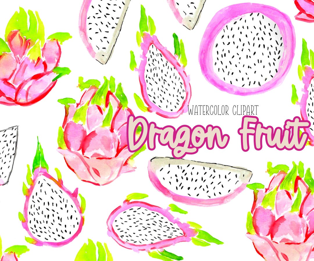 Fruit Clipart - Watercolor Cliprt - Dragon Fruit Clipart - Food Clipart ...