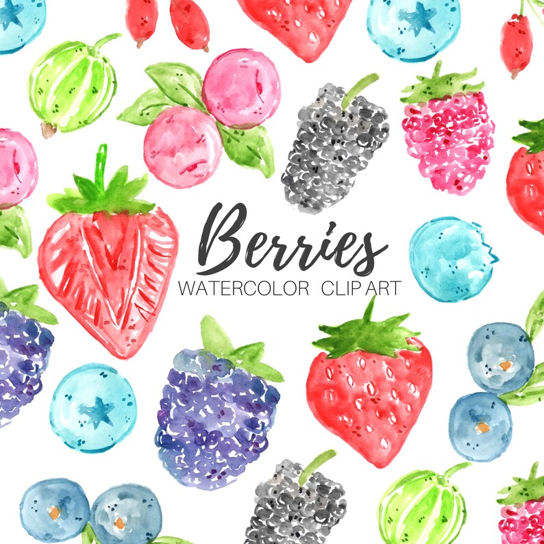 Fruit Clip Art Watercolor Clip Art Food Berries | Etsy