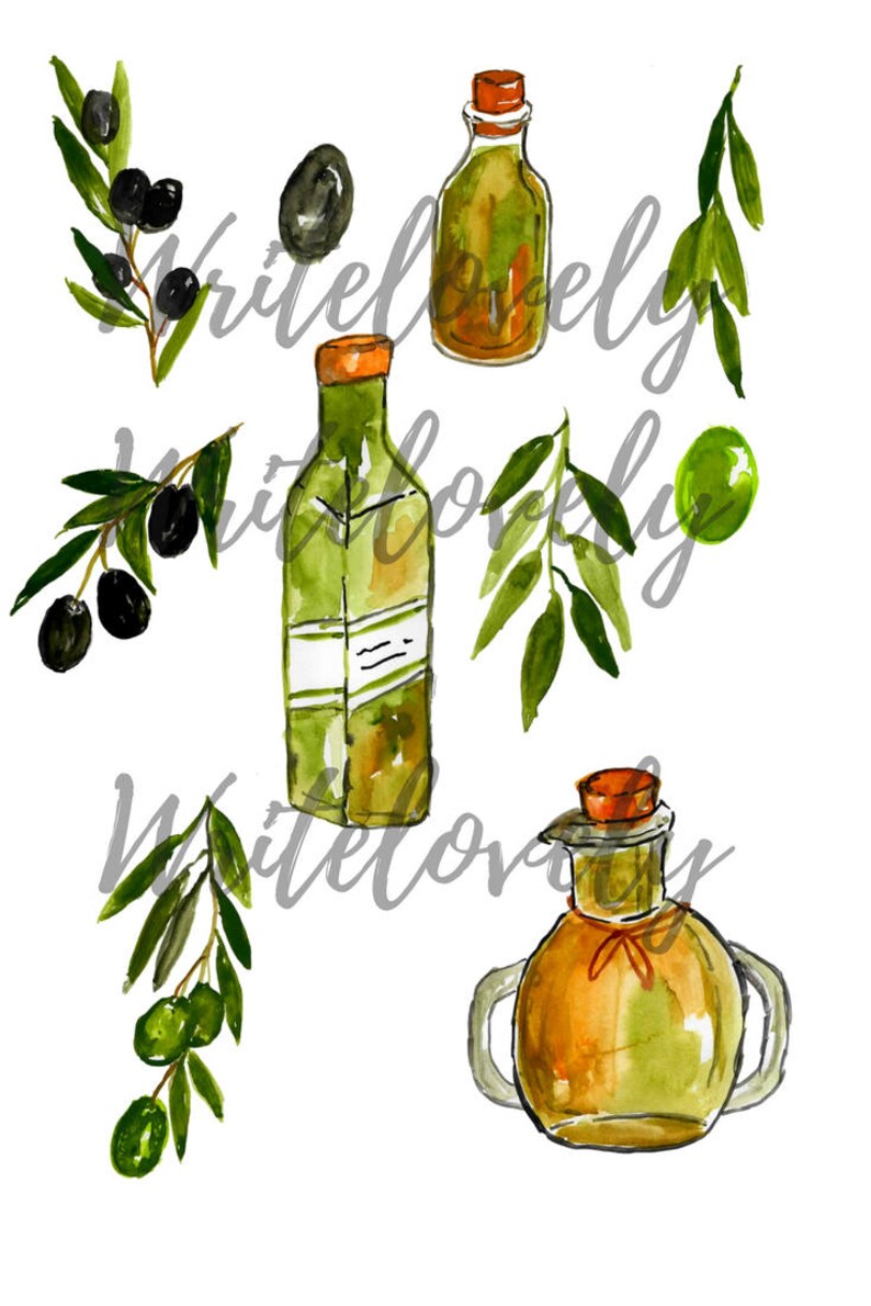 Watercolor Clip Art Olive Oil Clip Art Olive Clip Art - Etsy