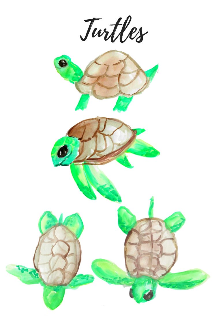 Turtle Clip Art Watercolor Clip Art Animal Clip Art Cute | Etsy Canada
