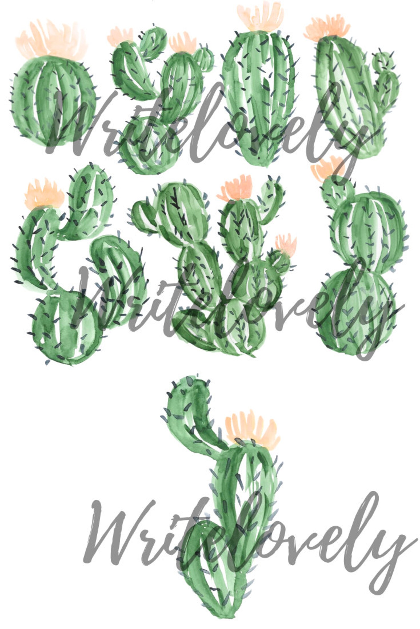 Watercolor Cactus Clipart Succulent Illustration Plant - Etsy