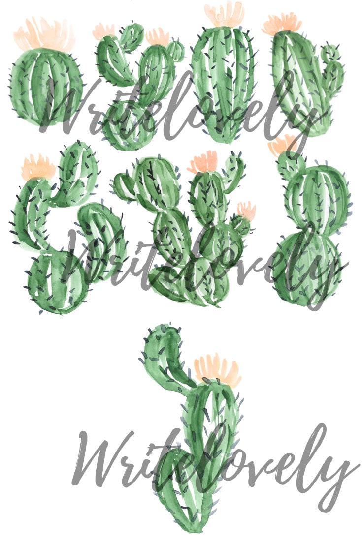 Watercolor Cactus Clipart Succulent Illustration Plant - Etsy