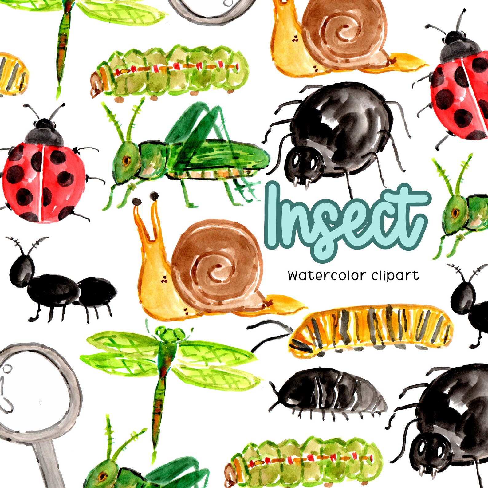 Watercolor Bug Clipart, Science Insect in Png Format, Digital Download ...