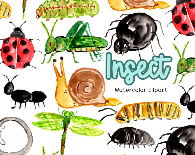 Watercolor Bug Clipart, Science Insect in Png Format, Digital Download ...