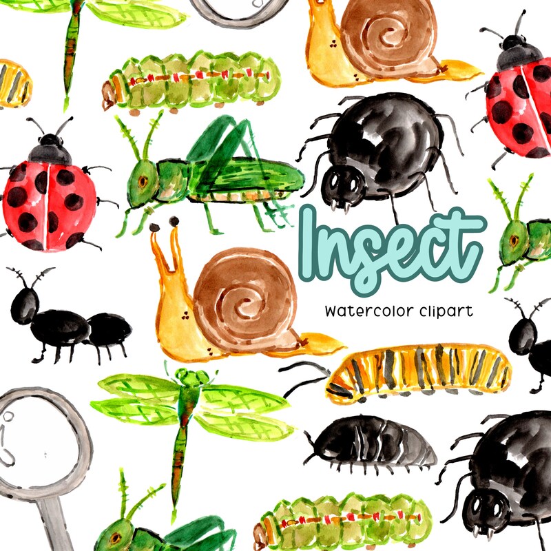 Bug Clipart - Etsy