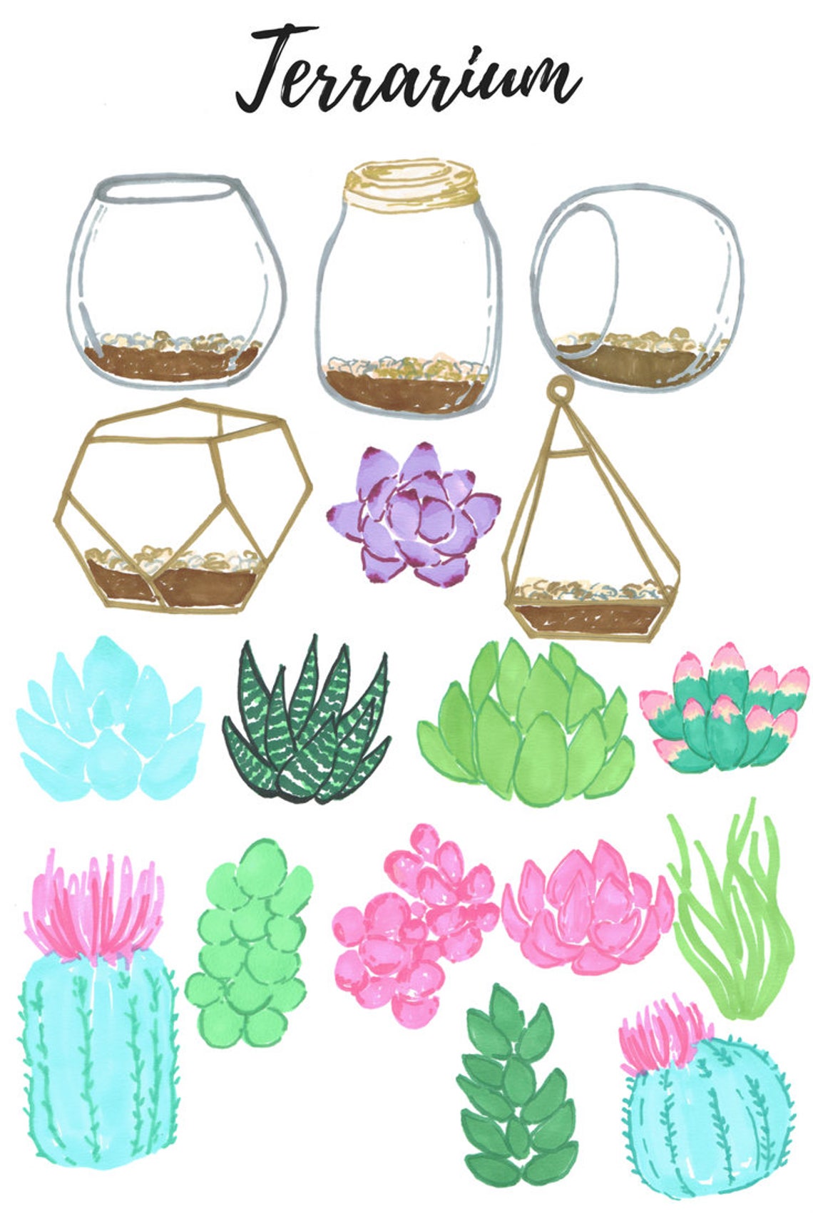 Terrarium Clip Art Succulent Graphics Floral Planting - Etsy