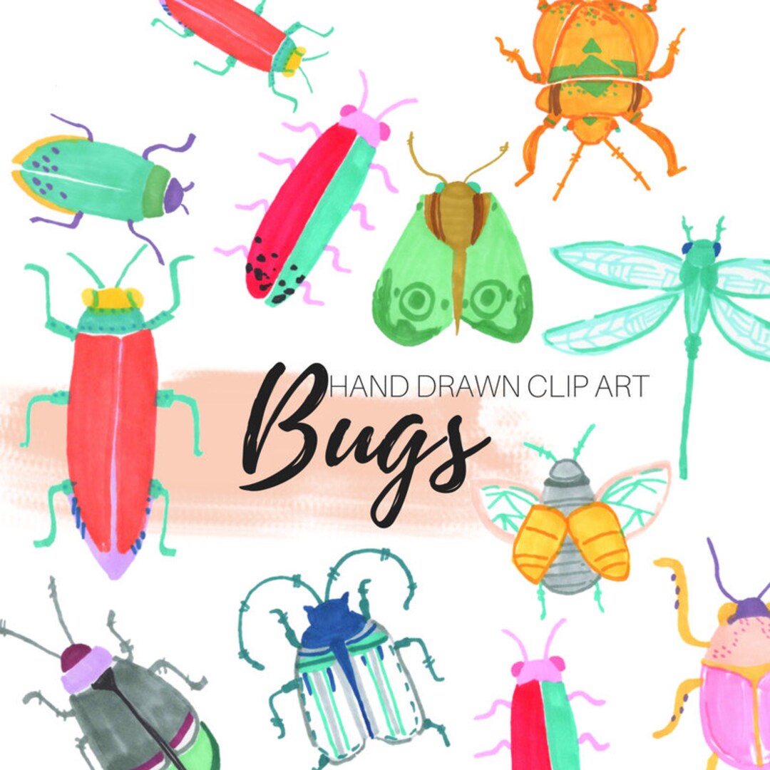 Bug Clip Art - Insect Clip Art - Hand Drawn Clip Art - Commercial Use ...
