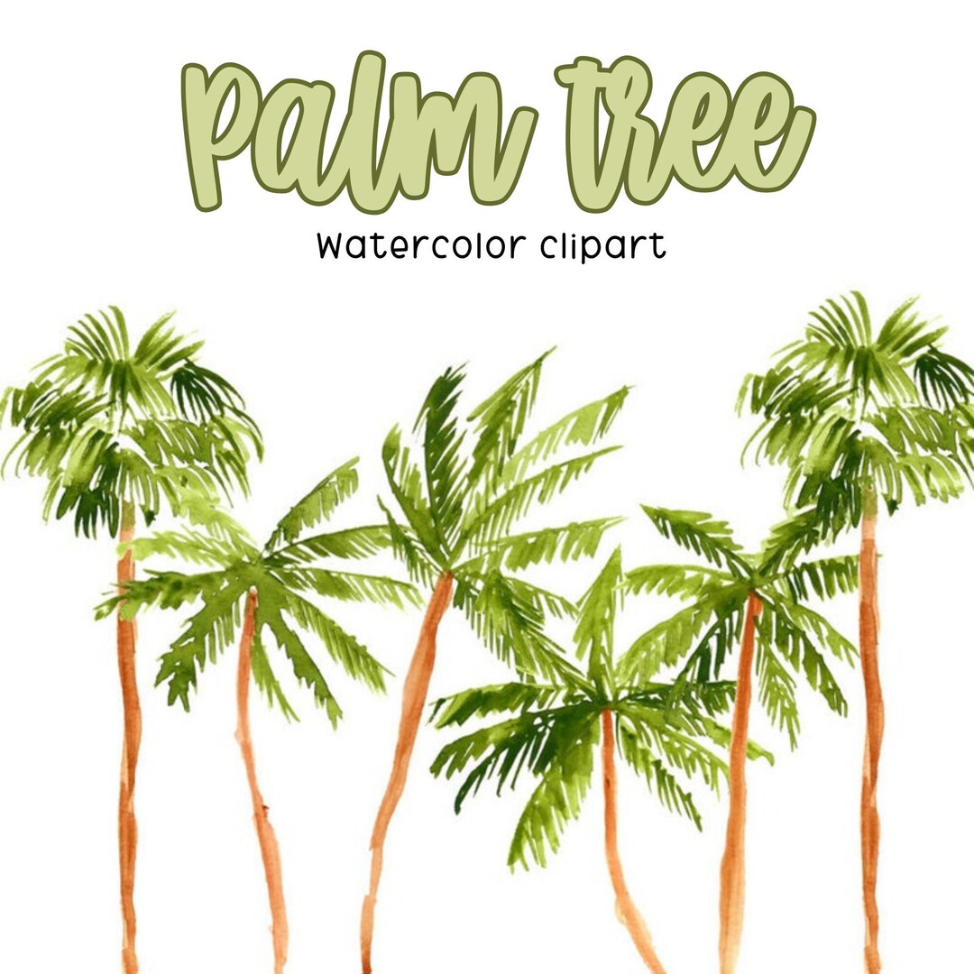 Watercolor Tropical Palm Tree Clipart, Palm Tree Png, Summer Graphics ...