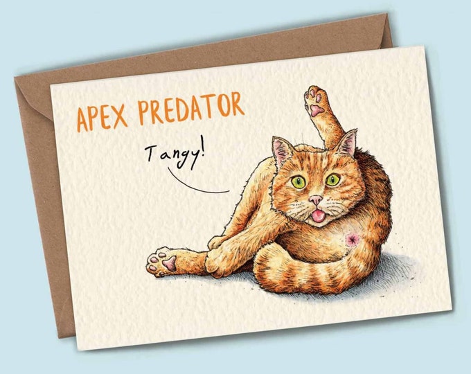 Catatonic Card Ginger Cat Card Funny Cat Card Cute Cat - Etsy