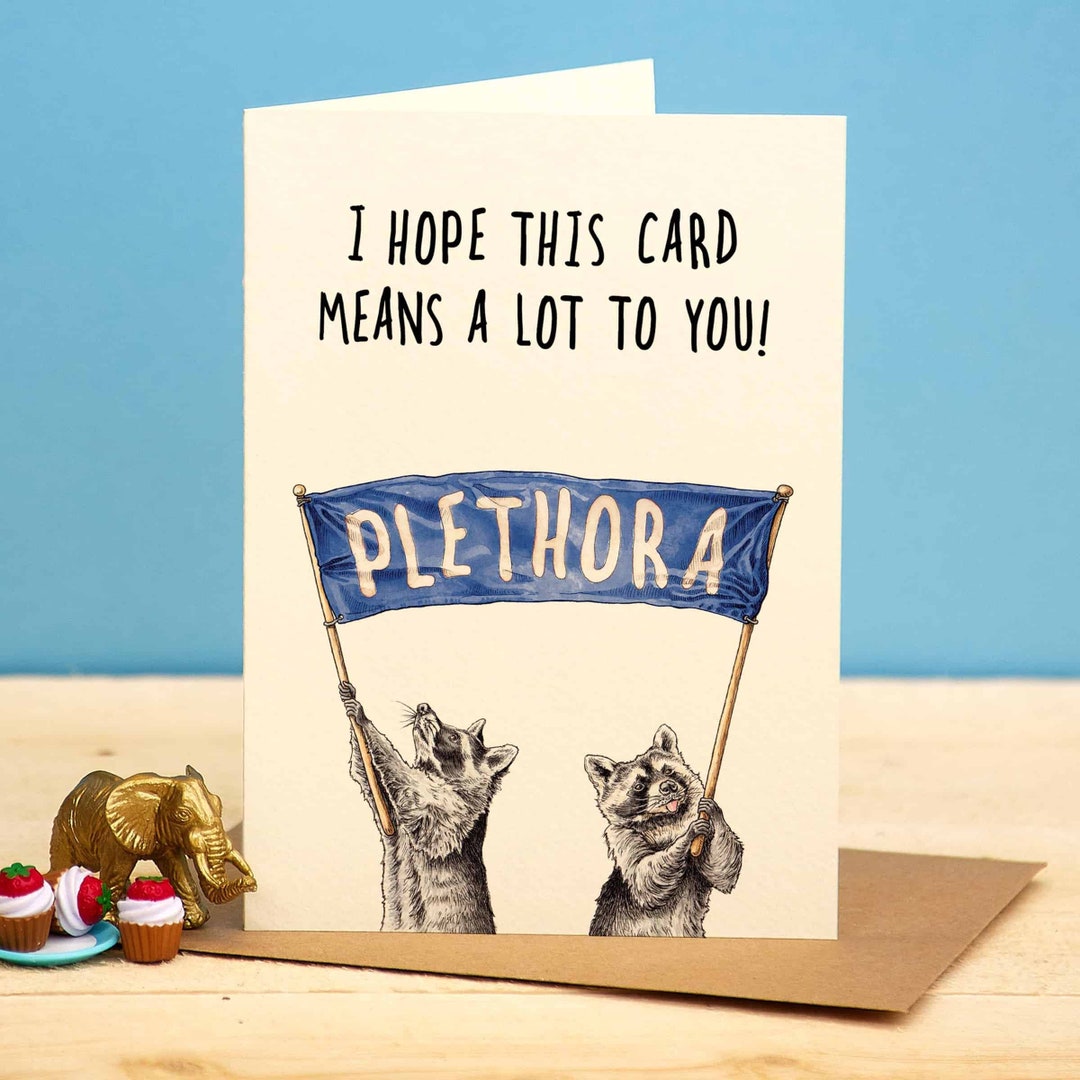 Plethora Card Punny Card Silly Card Racoon Card - Etsy