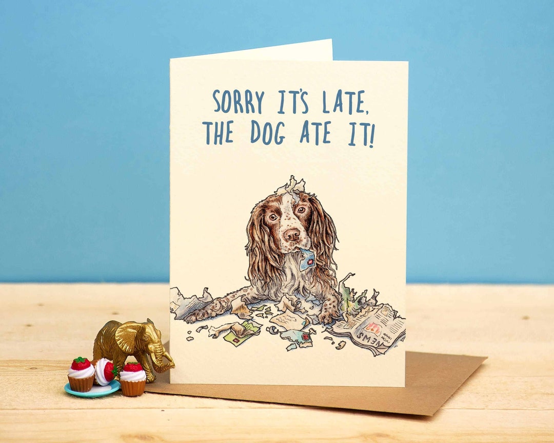Late Spaniel Card - Late Birthday Card - Dog Birthday Card - Etsy