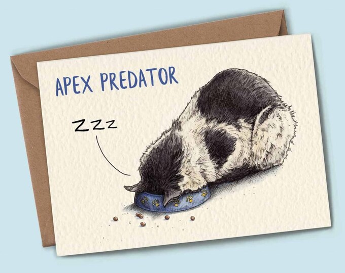 Catatonic Card - Ginger Cat Card - Funny Cat Card - Cute Cat Card - Cat ...