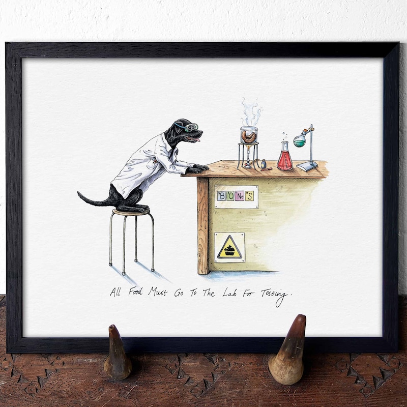 Black Labrador - Etsy