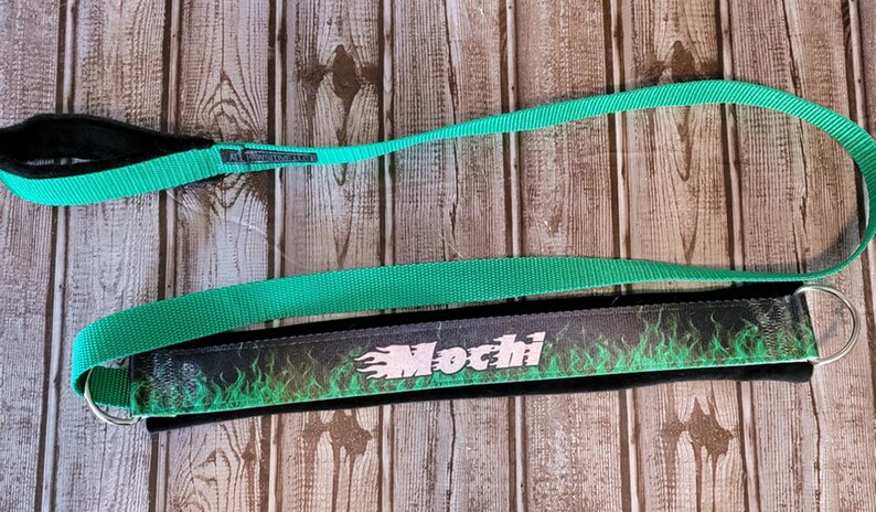 Fast Cat Quick Release Lead CUSTOM Design-lure Coursing - Etsy