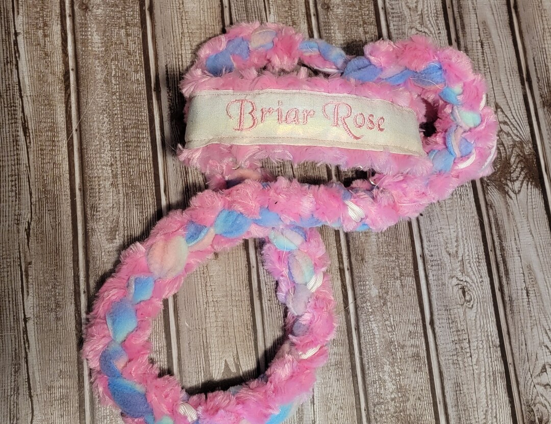 Holographic Ring Lead With Tug! - Agility Lead - Barn Hunt Lead ...