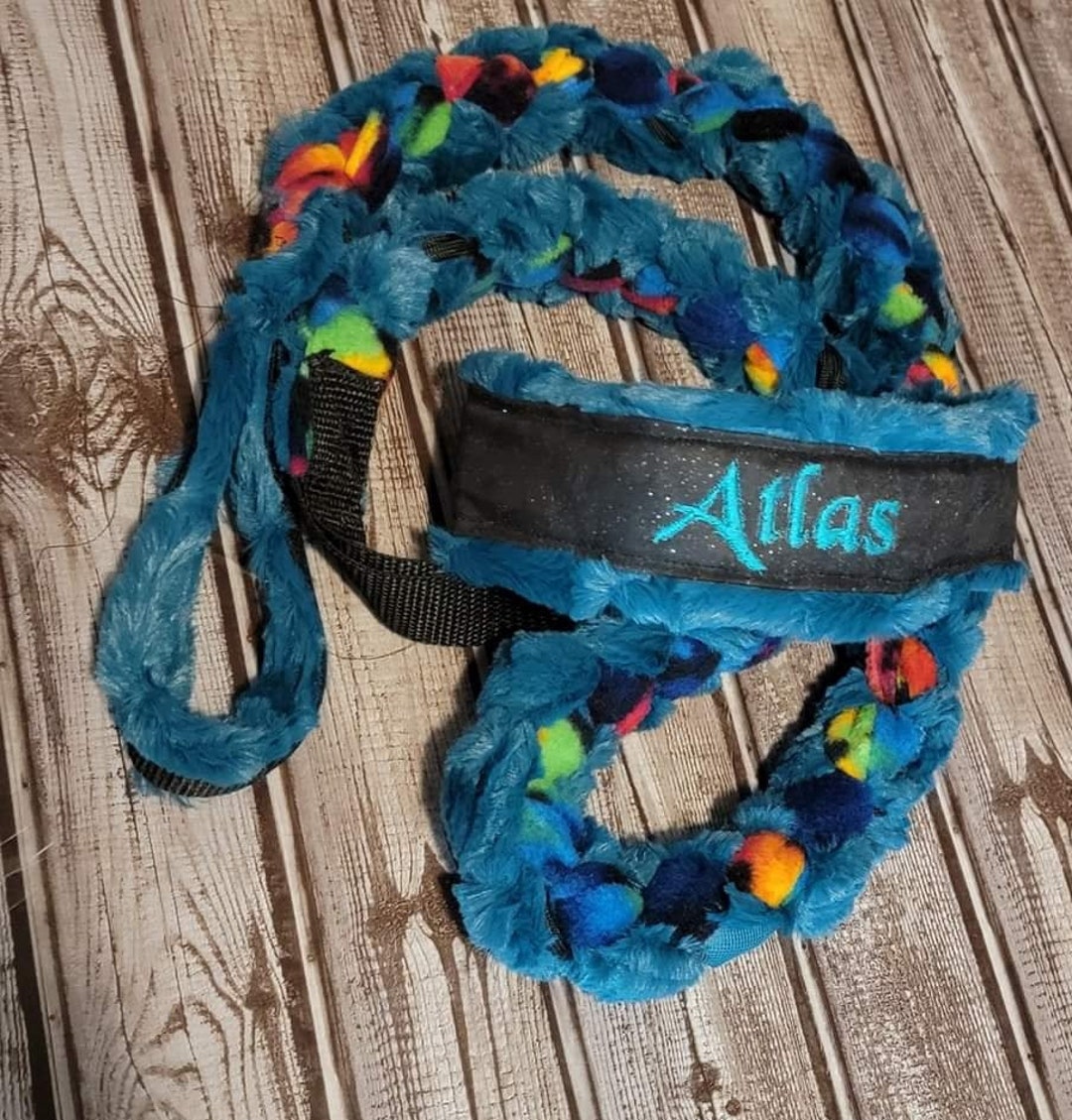 Bold and Bright Ring Lead With Tug! - Agility Lead-barn Hunt Lead ...