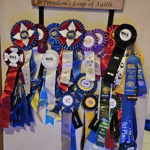 Custom Ribbon Display, Dog Award Ribbon Display Rack, Dog Rosette ...