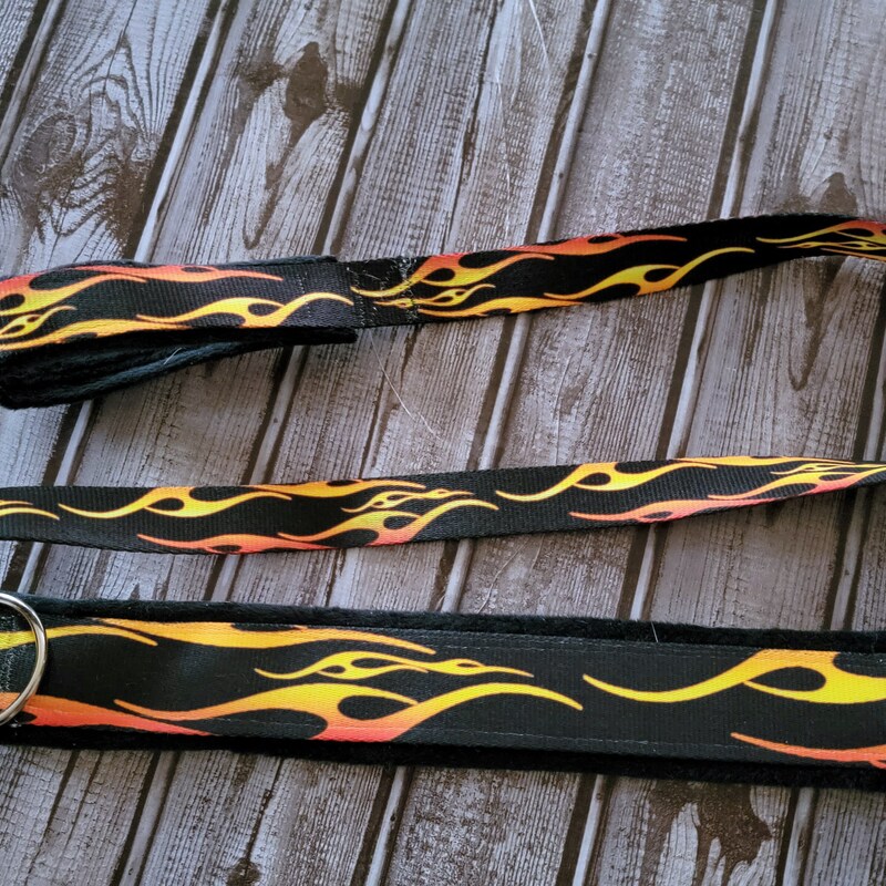 Fast Cat Agility - Etsy