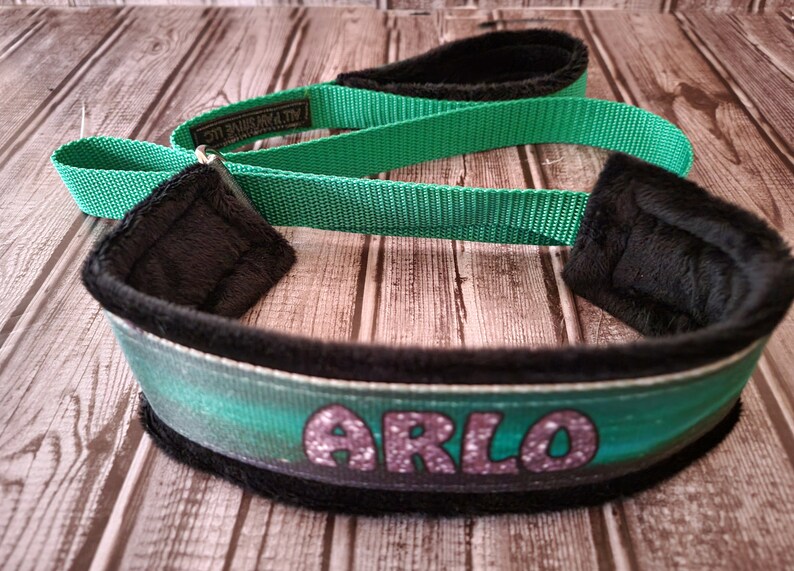 Fast Cat Quick Release Lead CUSTOM Design-lure Coursing - Etsy