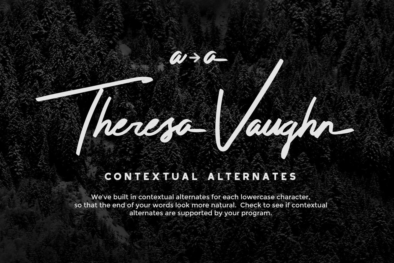 Twin Oaks Font - Photography Logo - Watermark, Signature Script Font ...