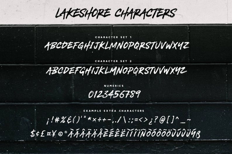 Lakeshore - Brush Font Pack - Painted / Messy / Handwritten ...