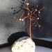 Fancy Money Tree, Decorative Functional Gift for Difficult Recipient ...