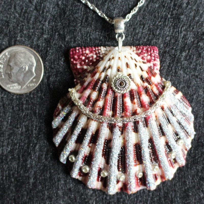 Scallop Shell Necklace - Etsy