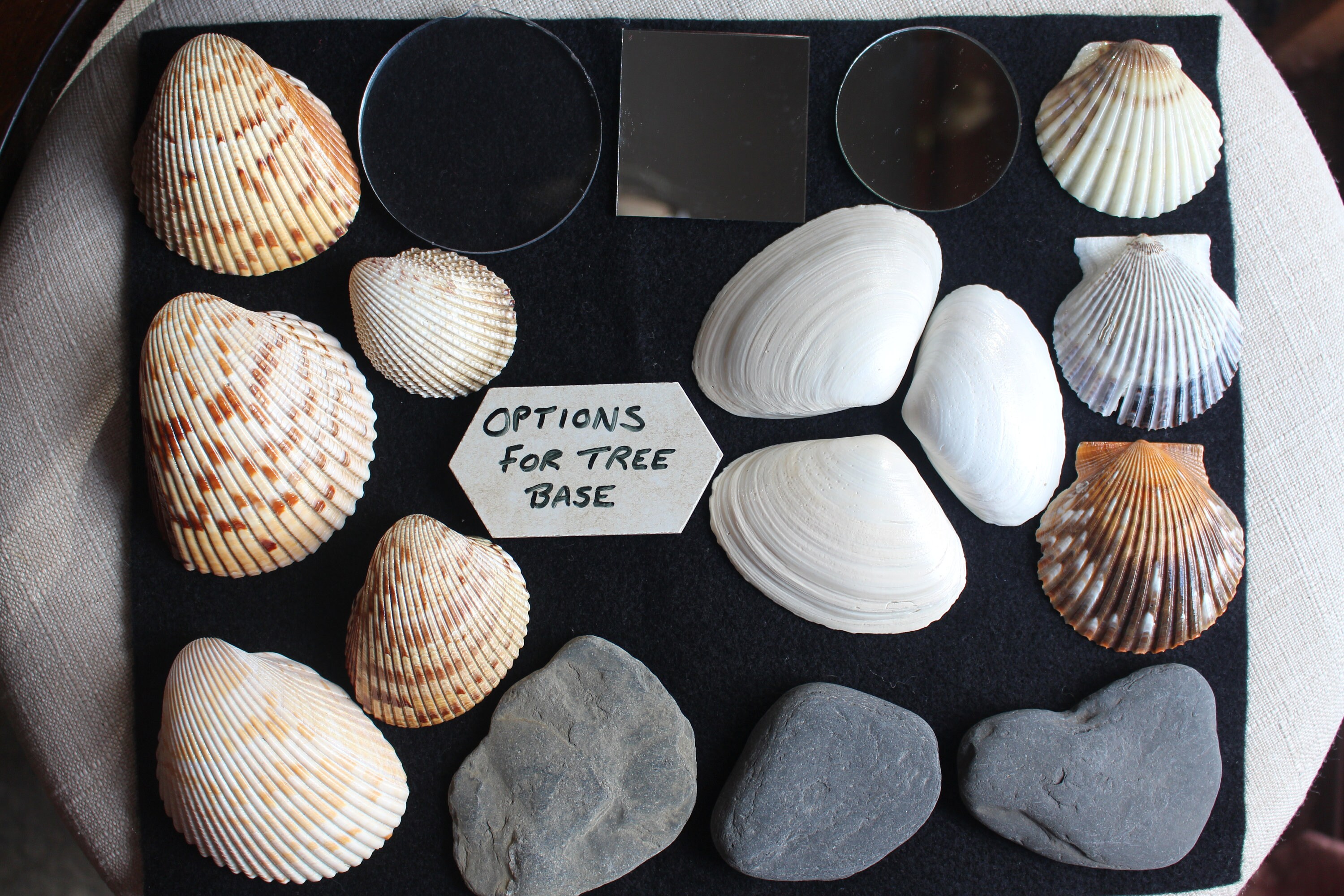 Fancy Money Tree, Decorative Functional Gift for Difficult Recipient ...