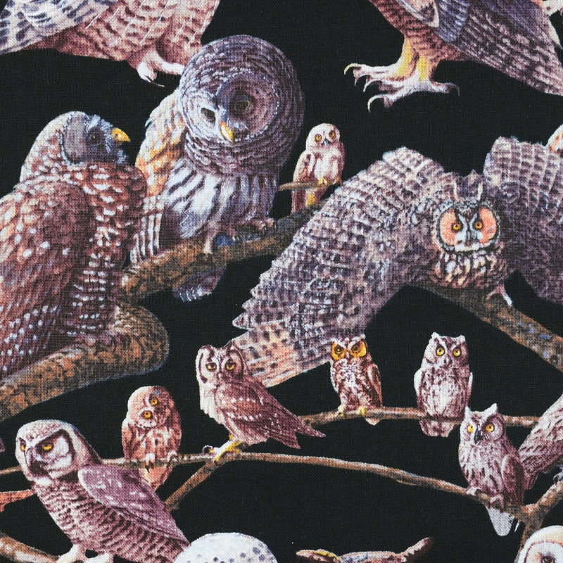 Owl Fabric - Etsy