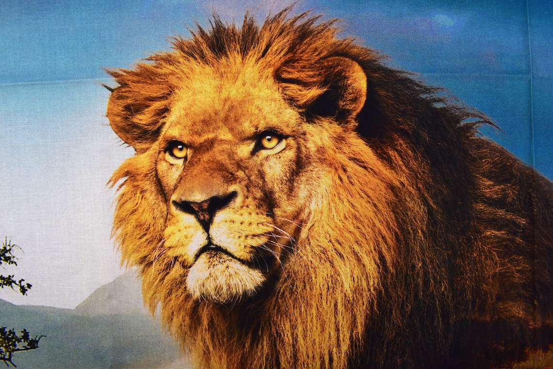 Lion Fabric Panel Quilting Panel Wild Kingdom Digital Panel | Etsy