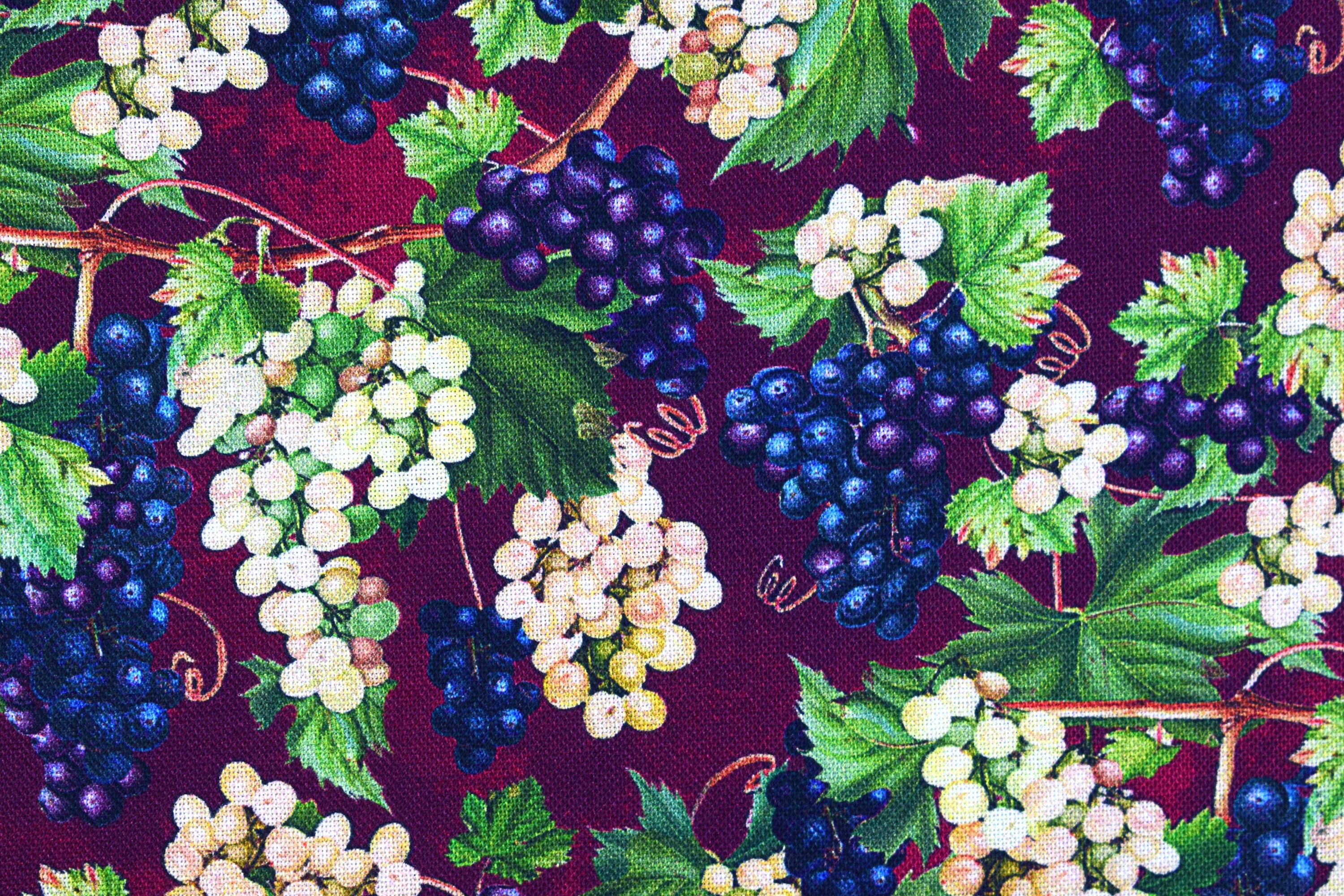 Grapes Fabric Quilting Fabric Cotton Fabric You Had Me at | Etsy