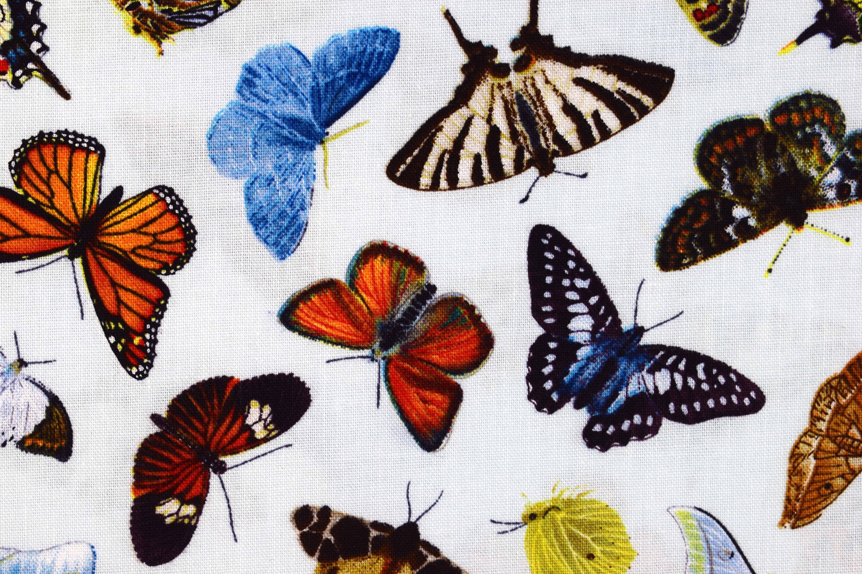 Butterfly Fabric Cotton Butterfly Fabric Quilting Fabric - Etsy UK