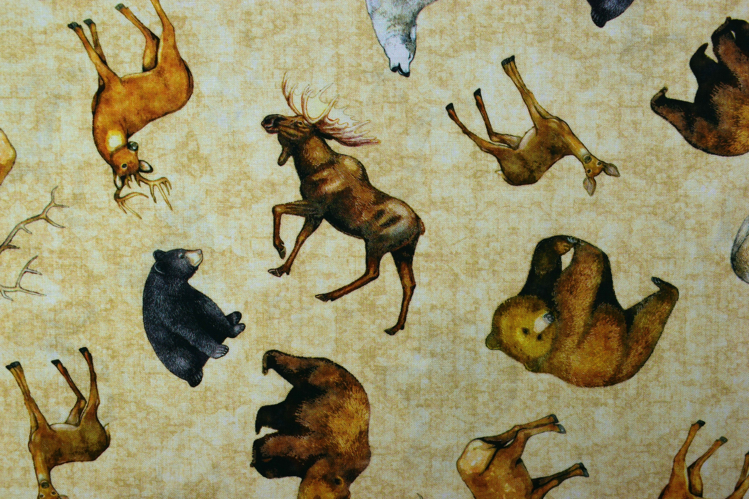 Grizzly bear fabric Quilting fabric cotton fabric | Etsy