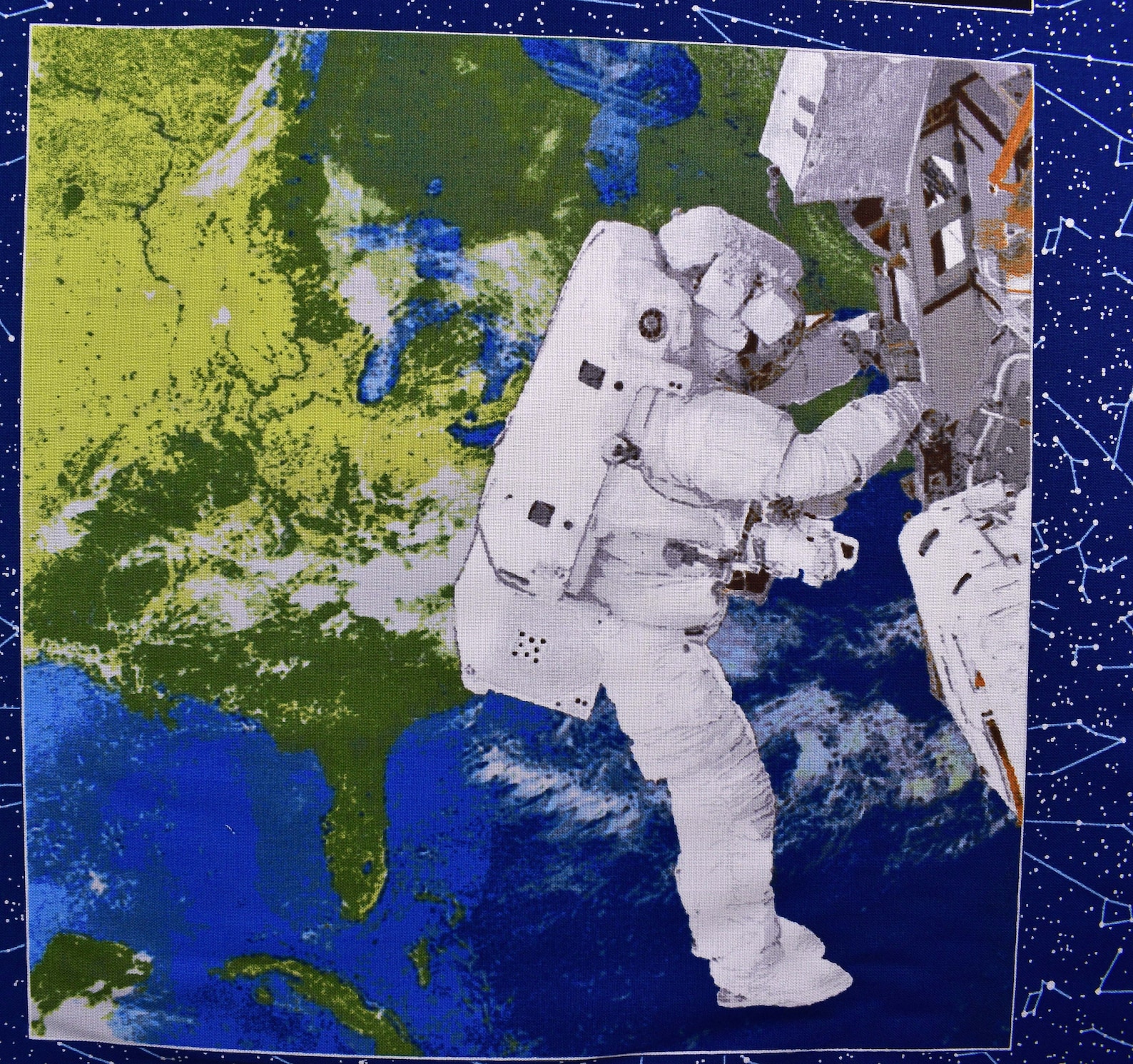 Space Station Fabric Panel, Quilting Panel, Planetary Mission, Studio E ...