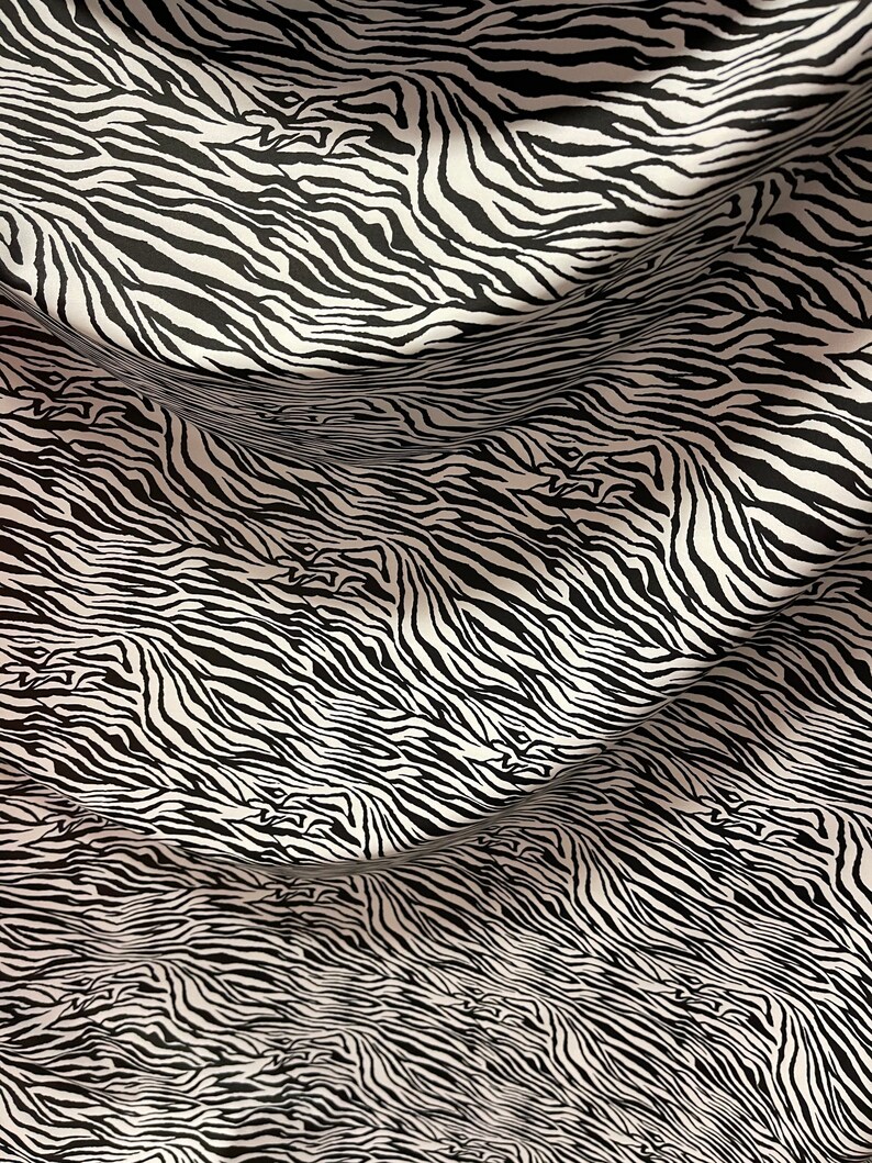 New Exotic Zebra Design Medium Size Print on Best Quality of - Etsy