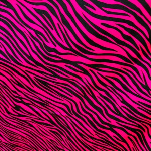 Exotic Zebra Design Fuchsia/black Print on Best Quality Shiny Nylon ...