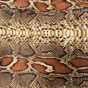 Cobra-snake Design Exotic Animal Print on Great Quality of Nylon ...